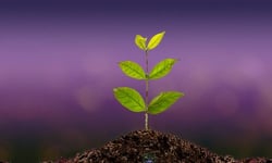 35 Church Growth Strategies That Work | Vanco