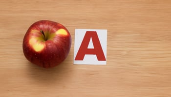 Best Preschool Themes & Lesson Plans: 74 Themes + 146 Activities