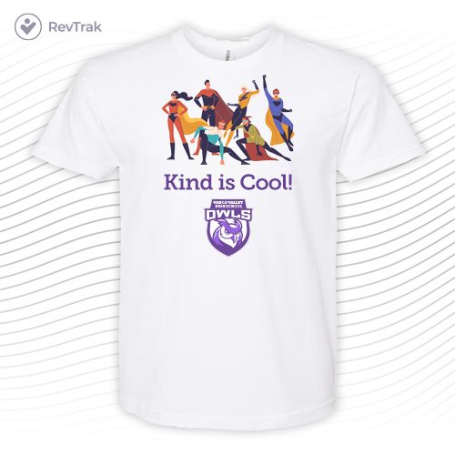 32 School Spirit Wear Ideas Students Want + FREE Tools