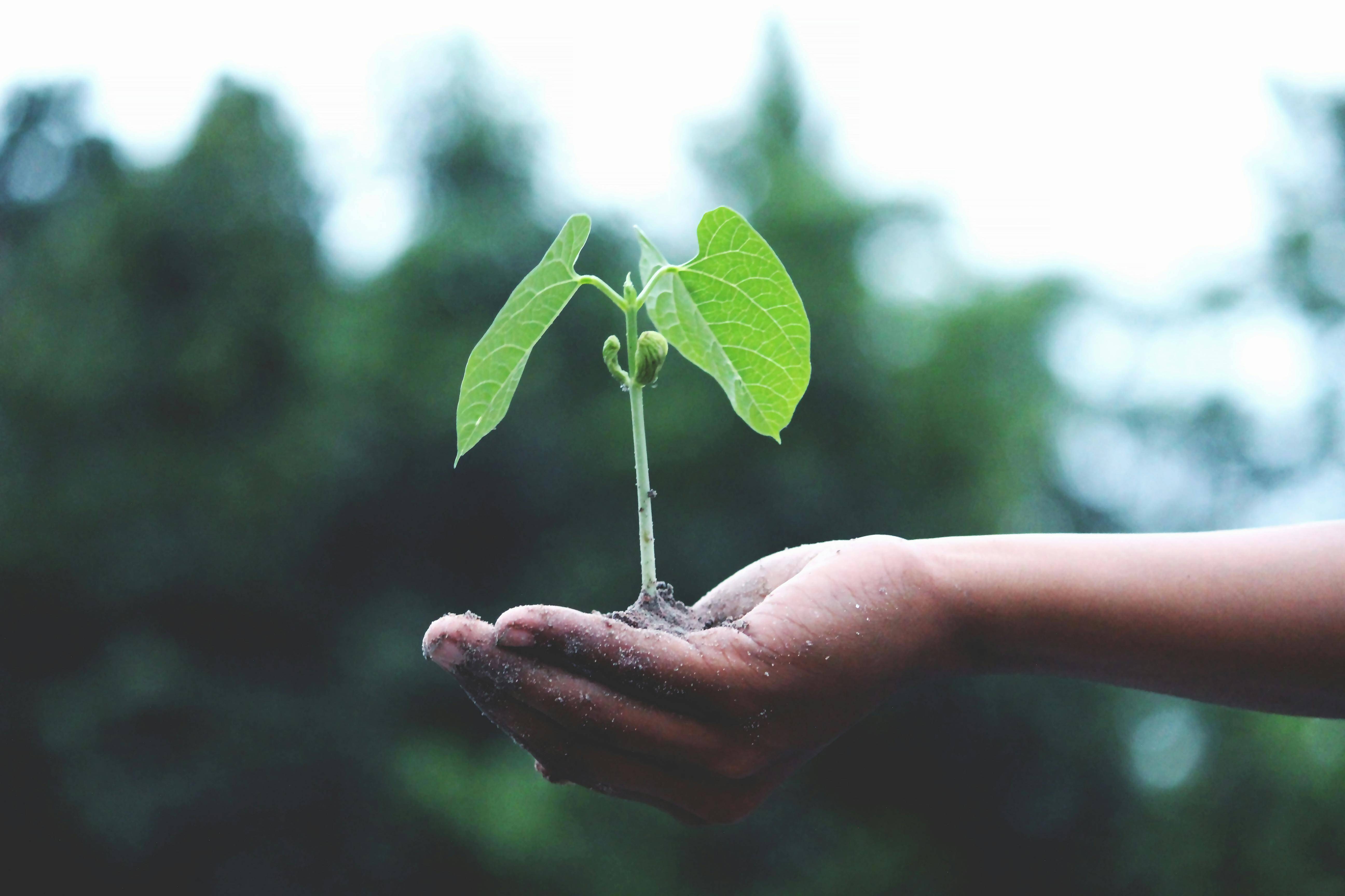 Good Stewardship of Money in Churches: Strengthen Your Financial Health